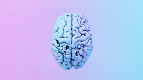 Understanding Acquired Brain Injury (ABI) | Support & Care Insights